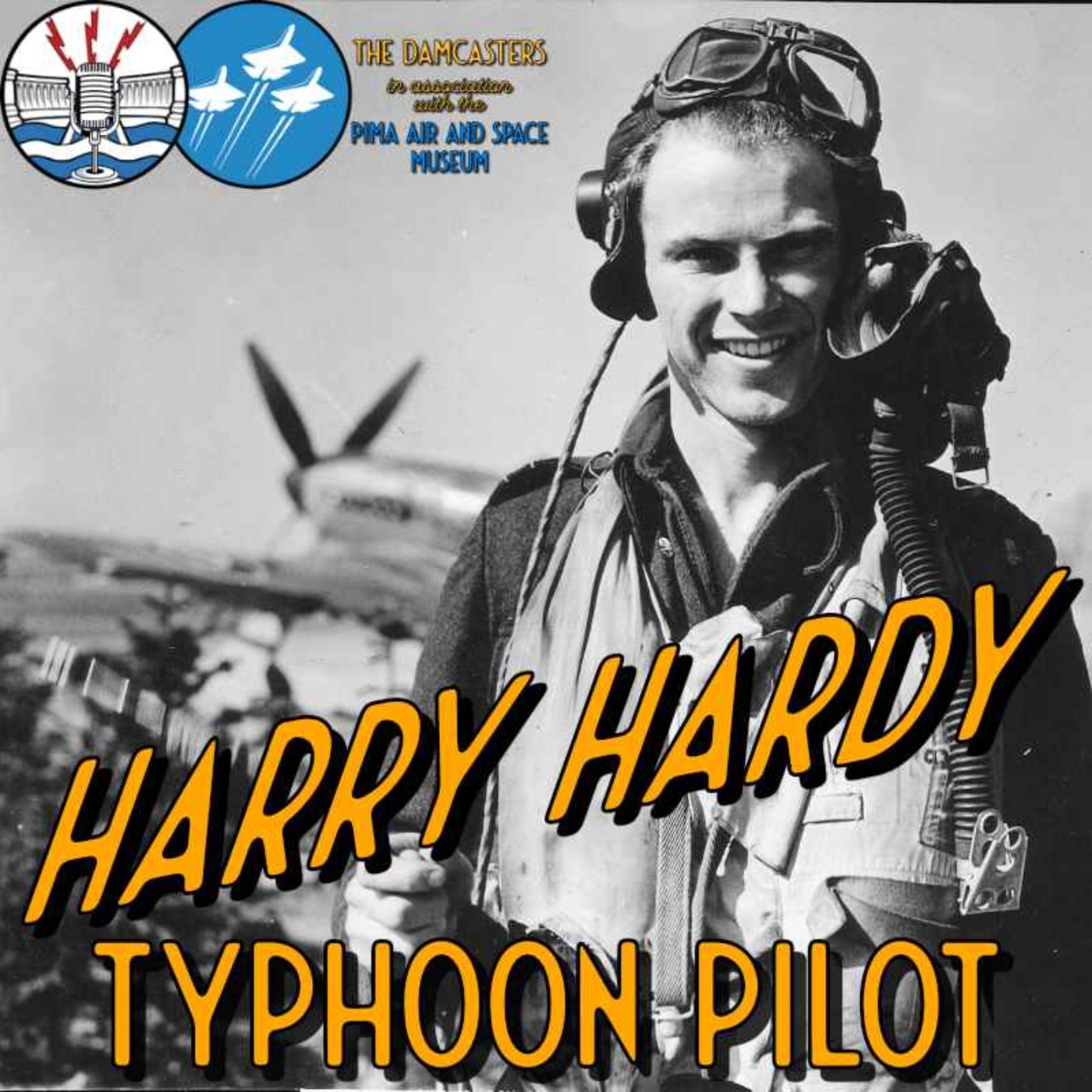 80: Harry Hardy DFC - Hawker Typhoon Pilot - The Aviation Show